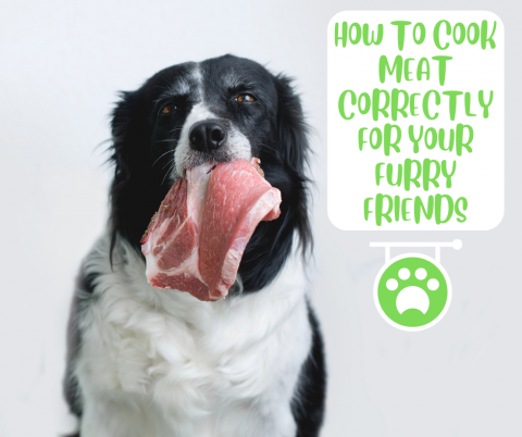 How to Cook Meat Correctly for Your Furry Friends - Healthy Pawsibilities